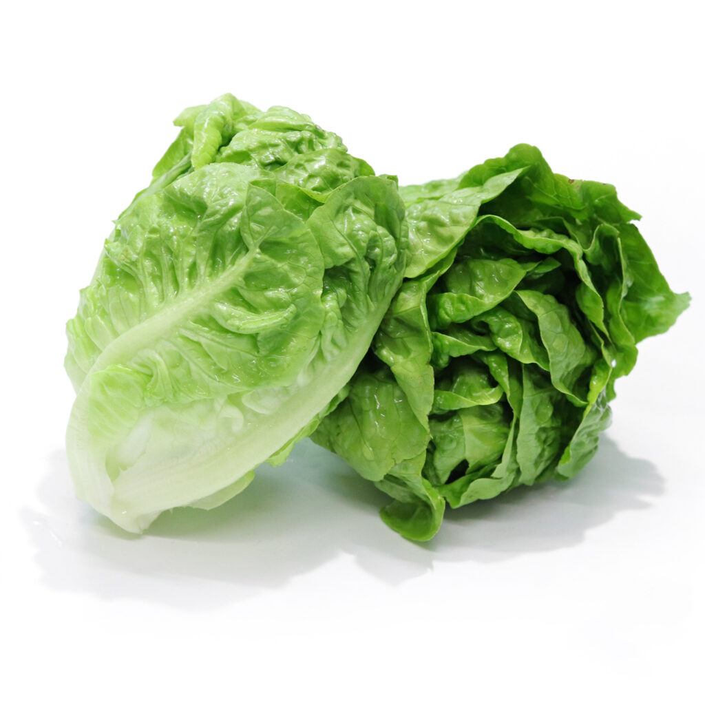 ผักเบบี้คอส (Vegetable Baby Cos) – Thai Forest Food